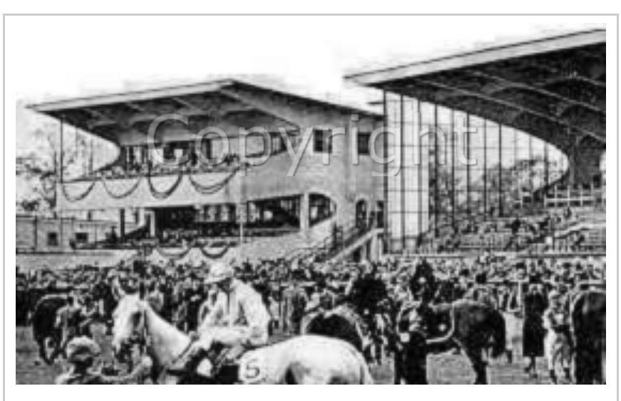 Northolt Park Racecourse 7